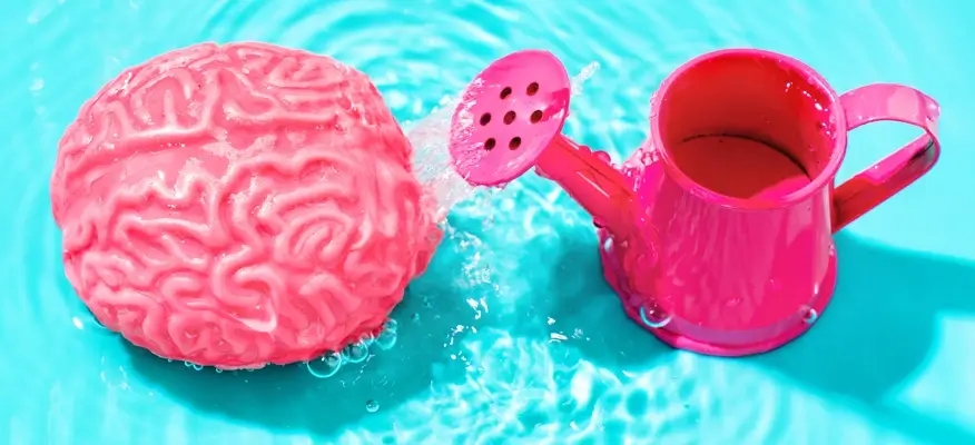 Dehydration’s Impact on Brain Health