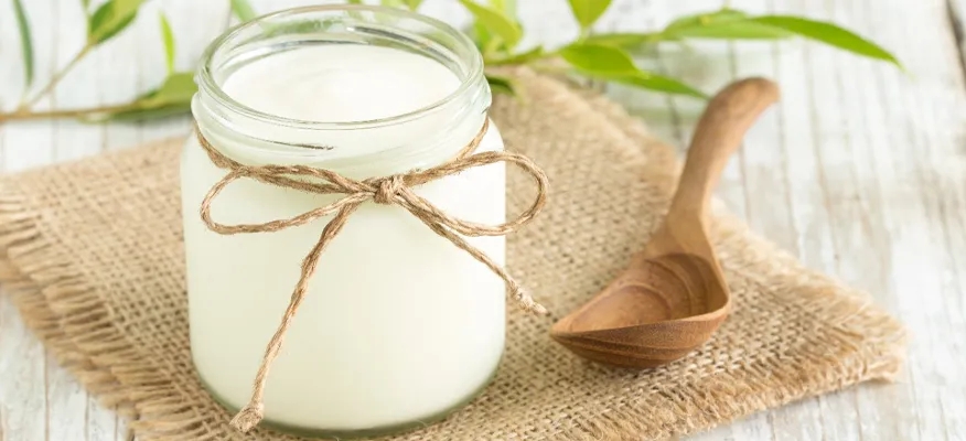 How Are Probiotics, the Immune System, and Gut Health Related?