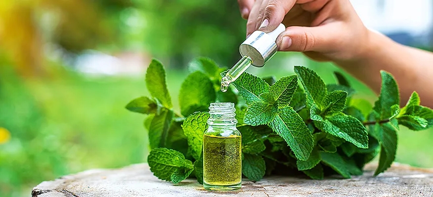 Top 4 Health Benefits Of Peppermint - Mega We Care