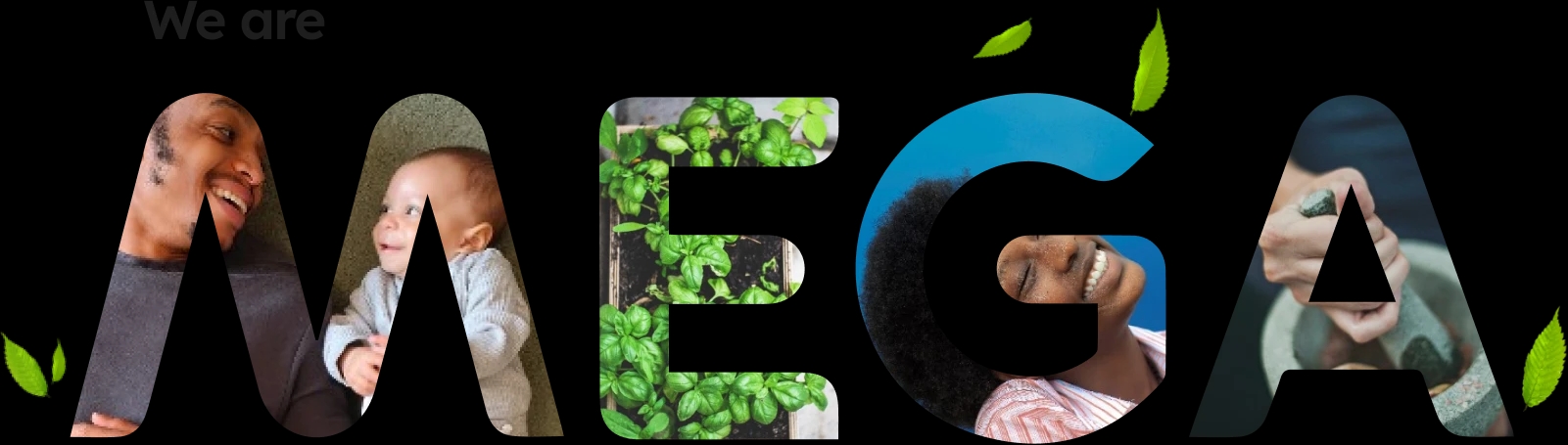Your Health & Wellness Partner & passionate guardian | Mega We care