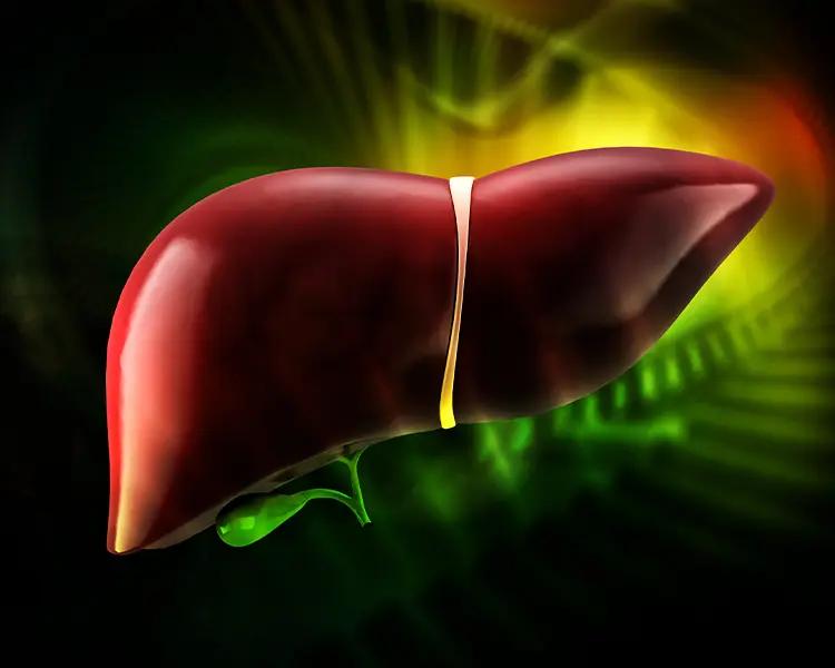 The Complete Guide to Liver Health | Mega We Care