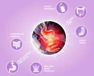 Does Yogurt Help Digestion? Probiotics Benefits and Tips