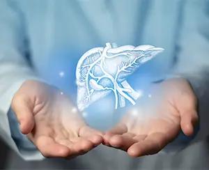 How Smoking Damages the Liver: Risks and Recovery Explained