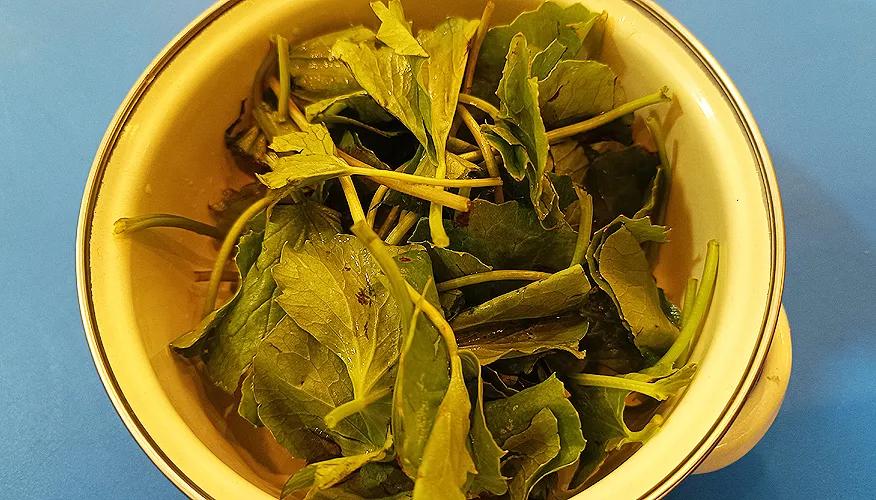 Pegaga Leaves (Gotu Kola): Top Benefits of This Healing Herb