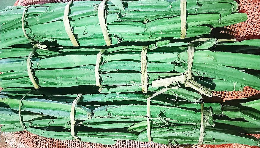 Top 10 Health Benefits of Pirandai (Cissus Quadrangularis)