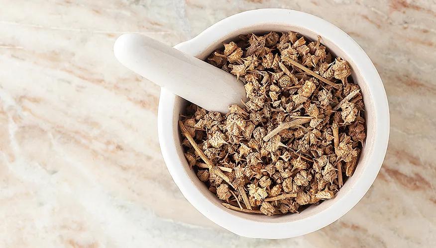 Gokshura – Top 12 Health Benefits, Types and Uses | Mega We Care