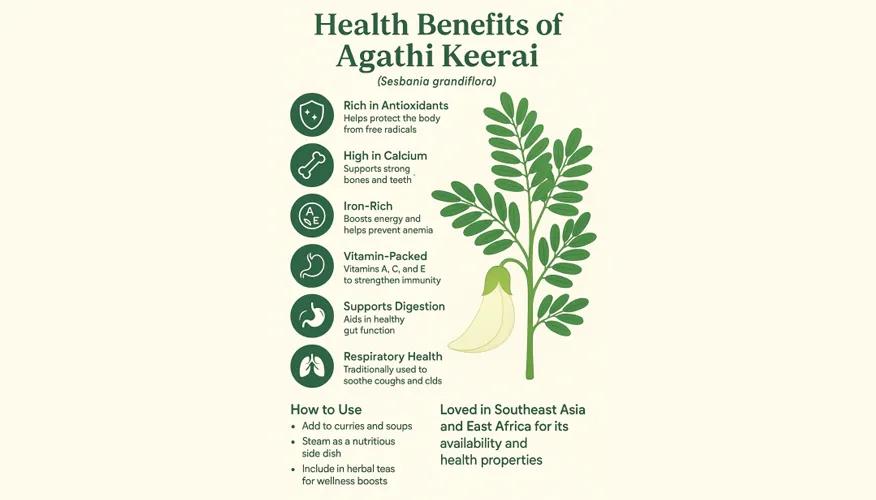 Agathi Keerai Leaves and Their Amazing Health Benefits