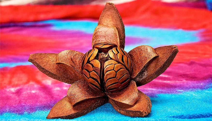 Top Sky Fruit Benefits for Diabetes, Immunity, Heart and More