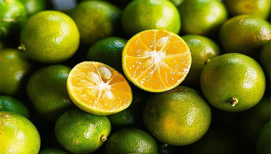 Calamansi: Health Benefits, Uses, Essential Guide | Mega We Care