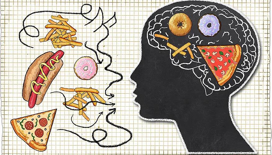 Harmful Effects of Fast Food on the Brain | Impact on Cognition