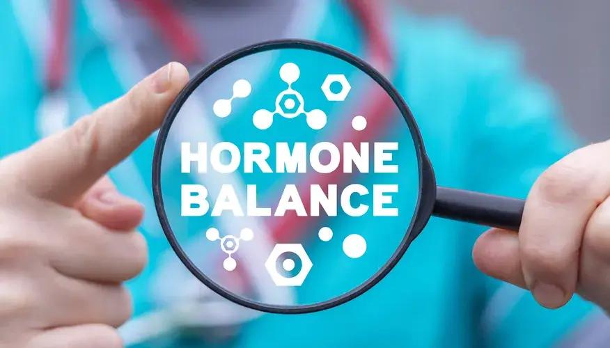 Importance Of Protein Intake During Period Cycle